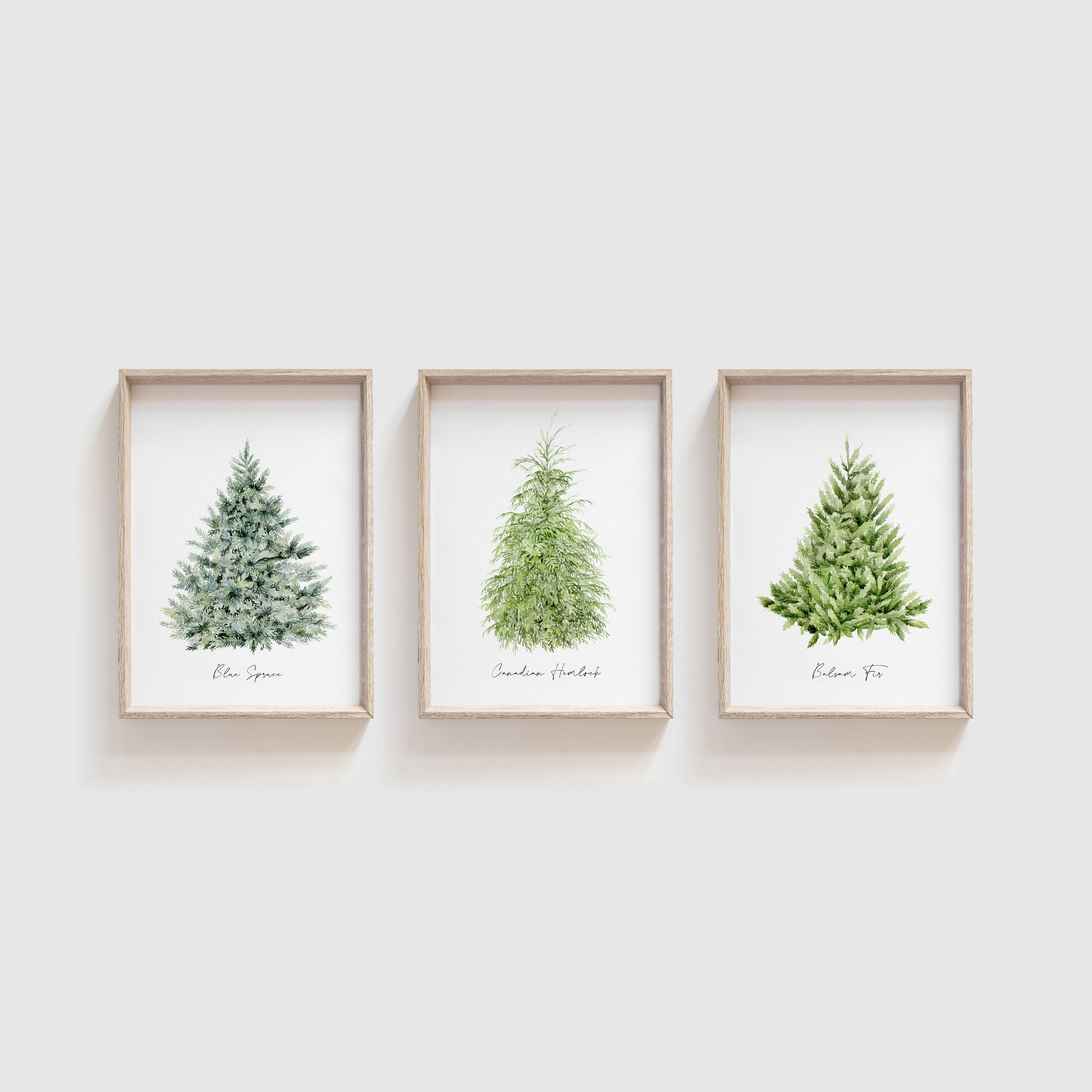 Blue Spruce | Winter Trees Watercolor Print | Farmhouse Winter Art ...