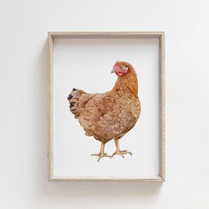 Set of 4 Chickens Watercolor Art Prints | Chicken Painting | Chicken ...
