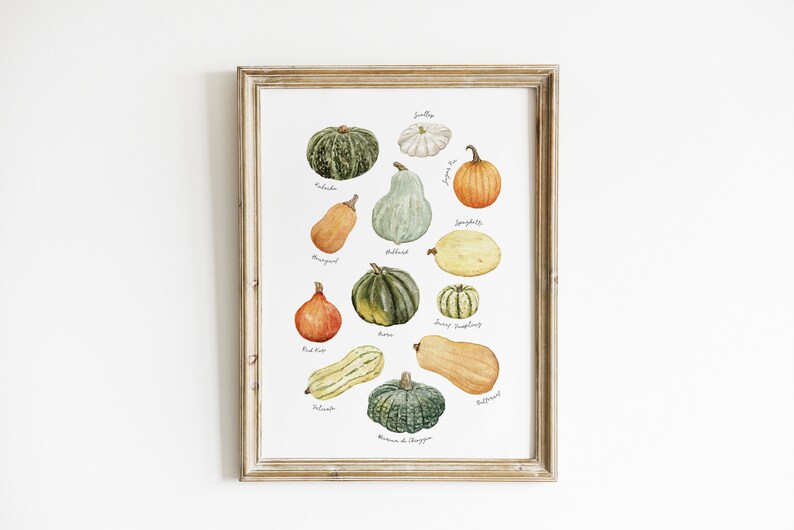 Winter Squashes Watercolor Print Pumpkin Watercolor Art - Etsy
