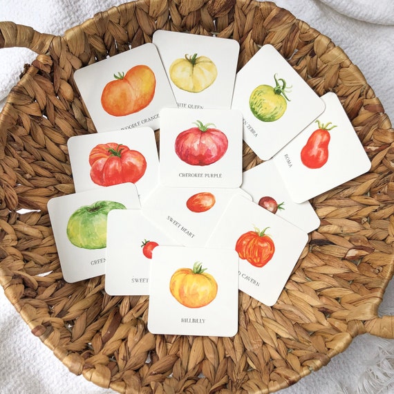 Printable Heirloom Tomato Matching Cards Garden Learning - Etsy