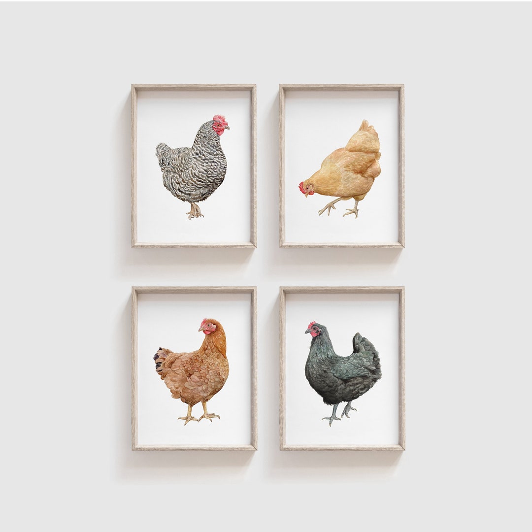 Set of 4 Chickens Watercolor Art Prints | Chicken Painting | Chicken ...