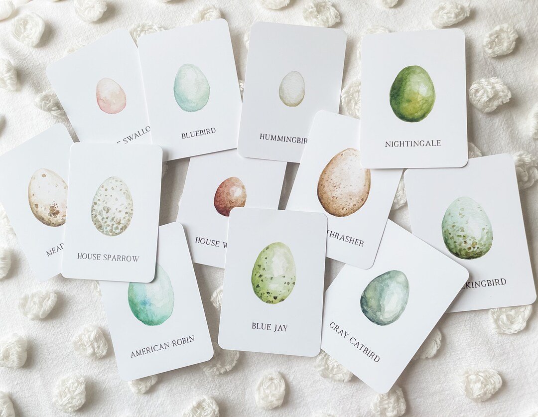 Bird Egg Matching Cards Nature Learning Cards Homeschool Nature Study ...