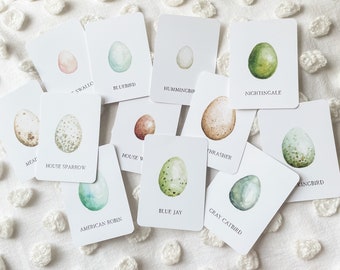 Bird and Egg Matching Game - Etsy