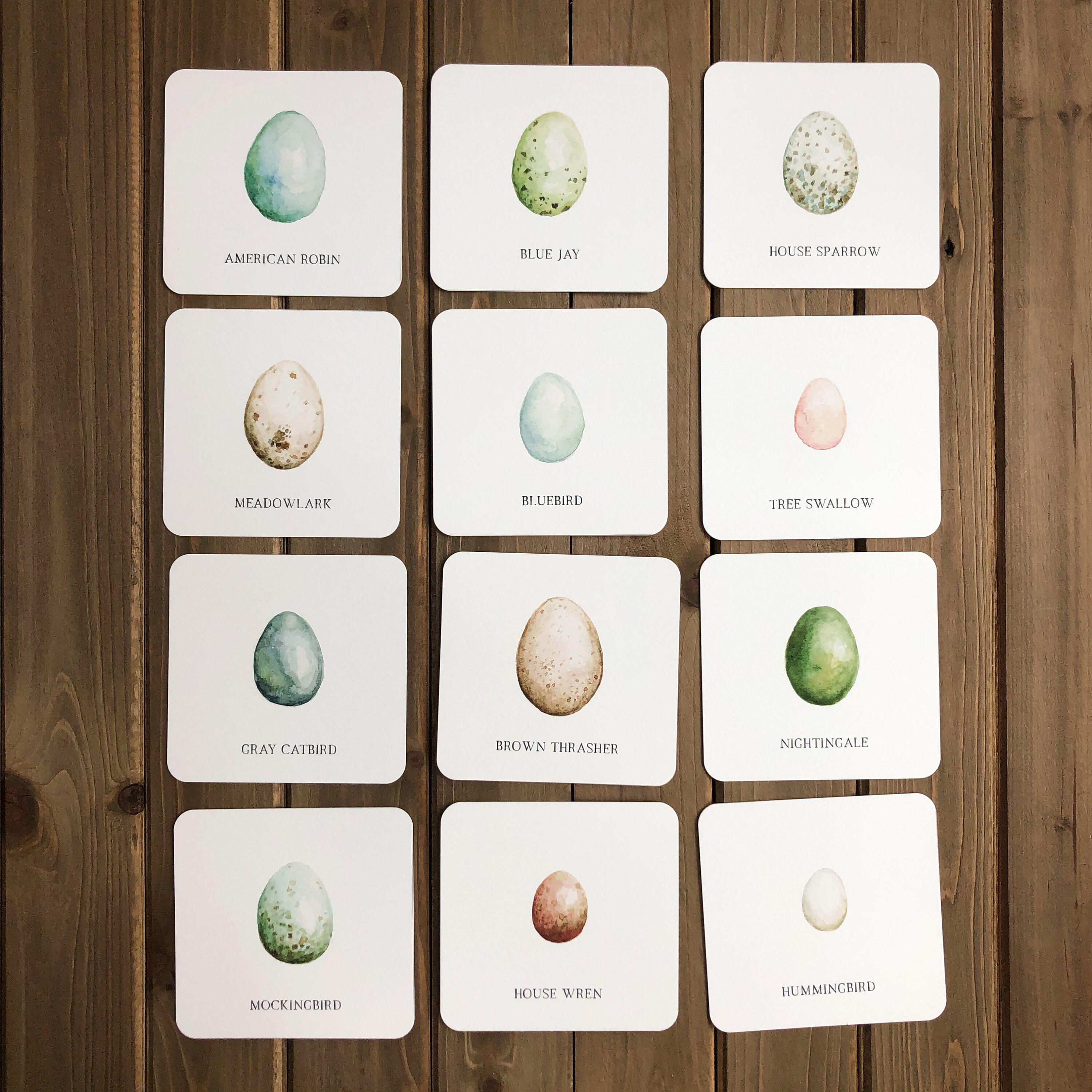 Printable Bird Egg Matching Cards Homeschool Printable - Etsy Canada