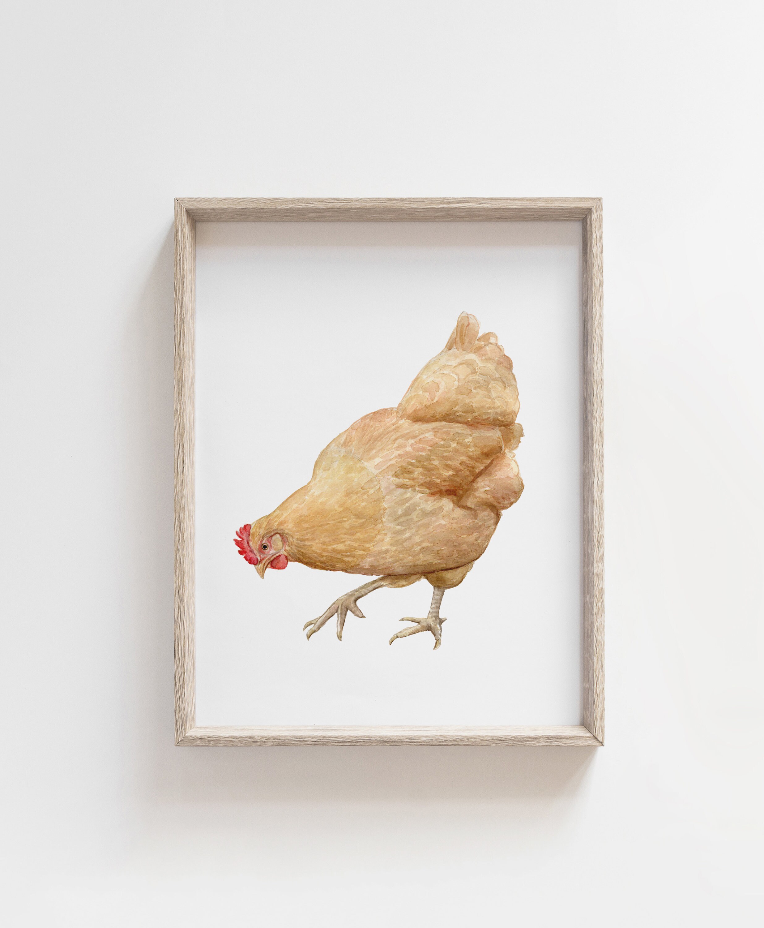 Set of 4 Chickens Watercolor Art Prints | Chicken Painting | Chicken ...