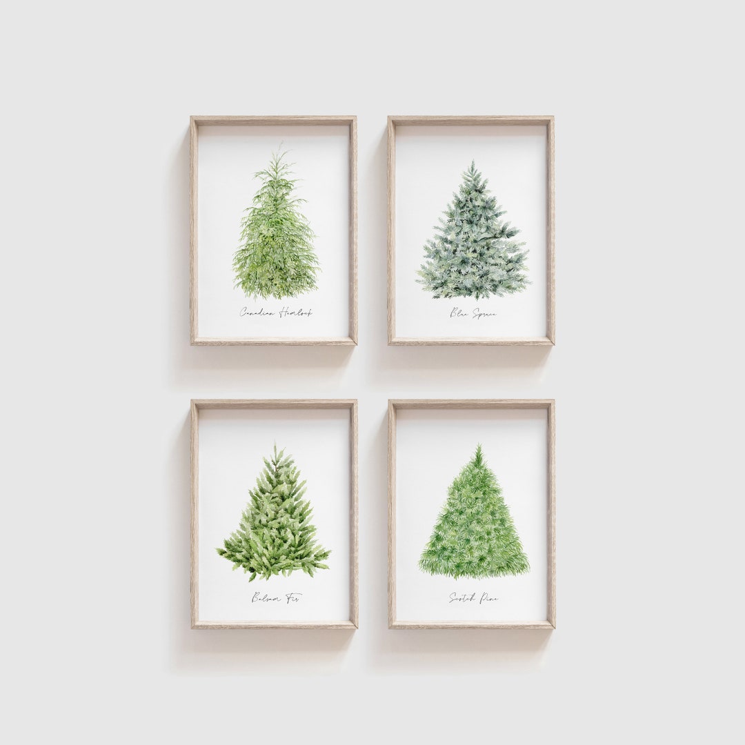 Set of 4 Watercolor Conifer Tree Prints | Watercolor Christmas Tree ...