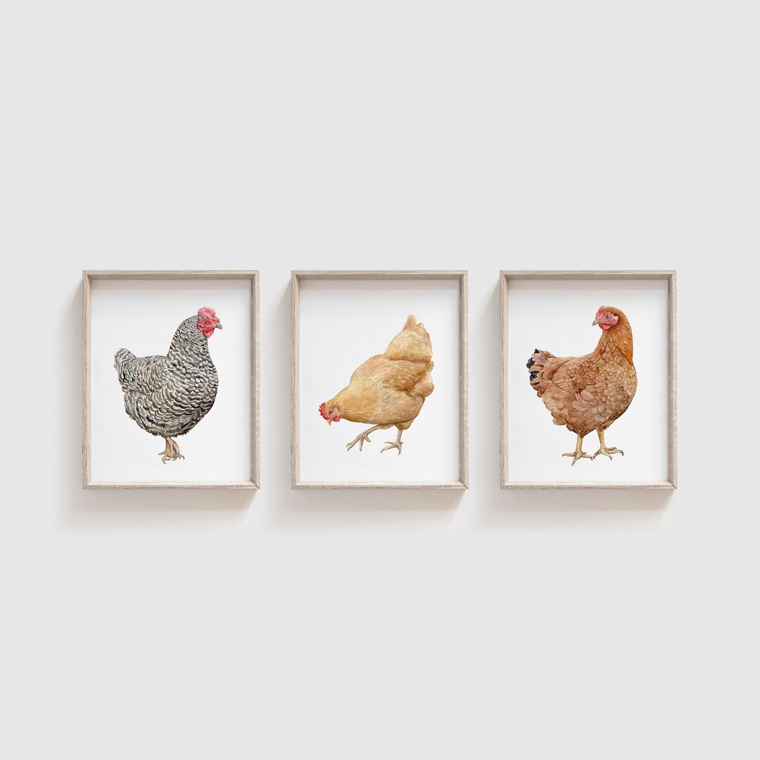 Set of 3 Chickens Watercolor Art Prints | Chicken Painting | Chicken ...