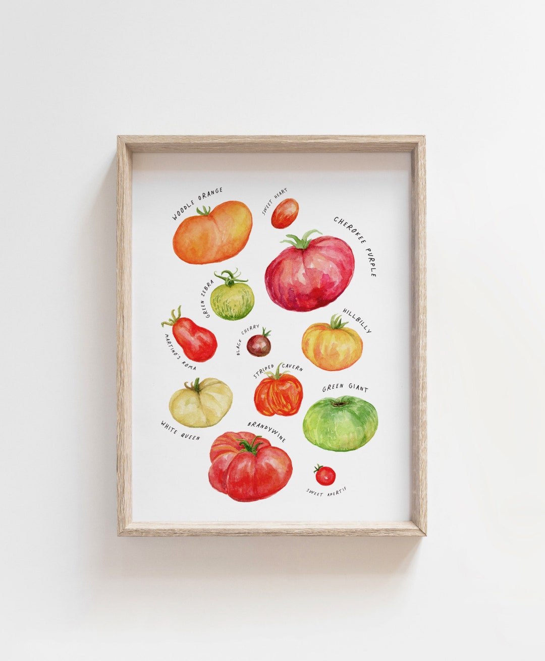 Heirloom Tomatoes Watercolor Print | Educational Chart | School Room ...