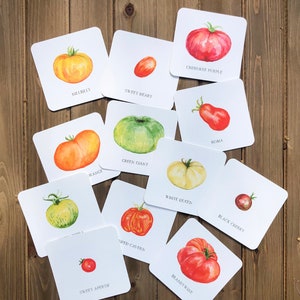 Printable Heirloom Tomato Matching Cards | Garden Learning Cards ...
