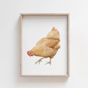 Set of 3 Chickens Watercolor Art Prints | Chicken Painting | Chicken ...