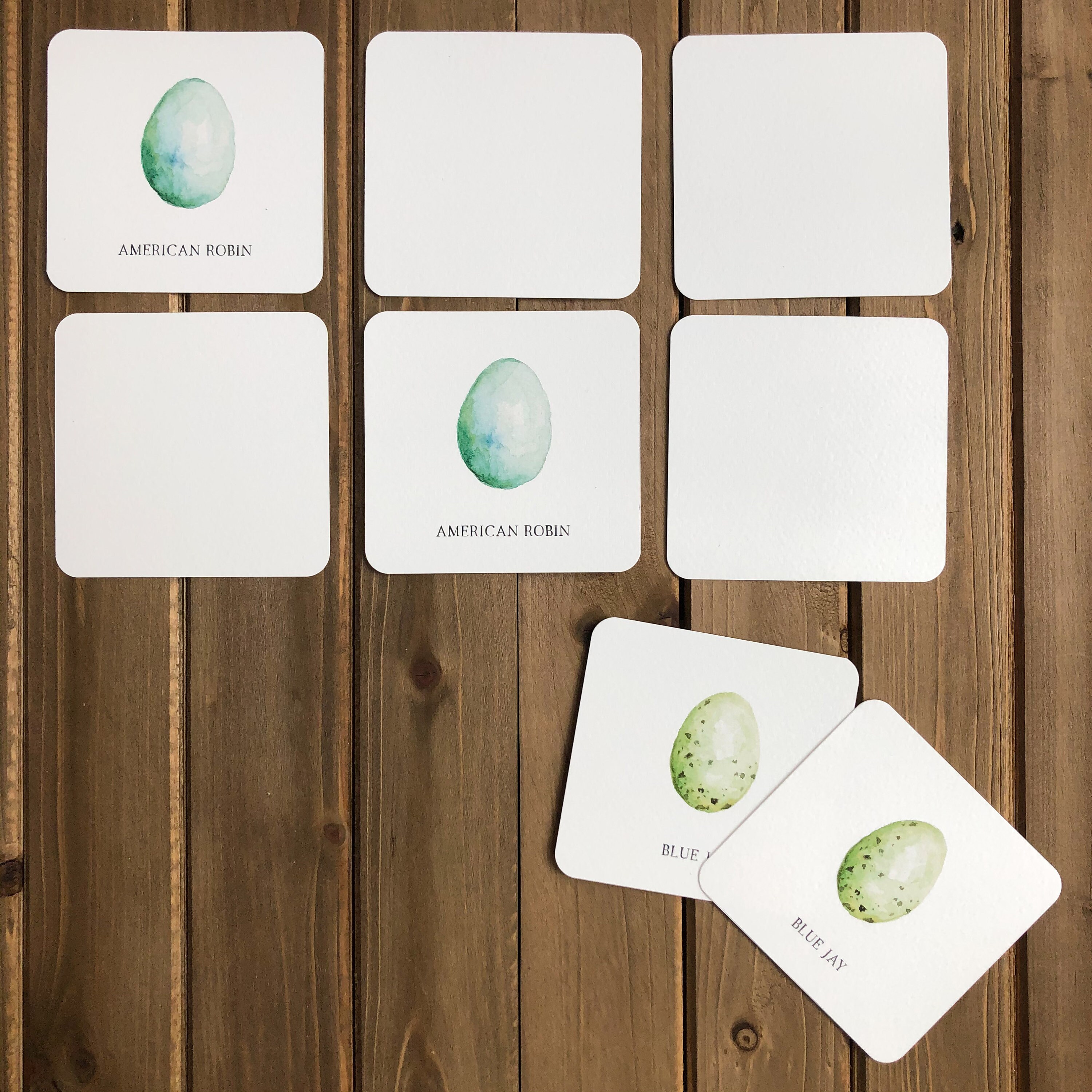 Printable Bird Egg Matching Cards Homeschool Printable | Etsy Australia