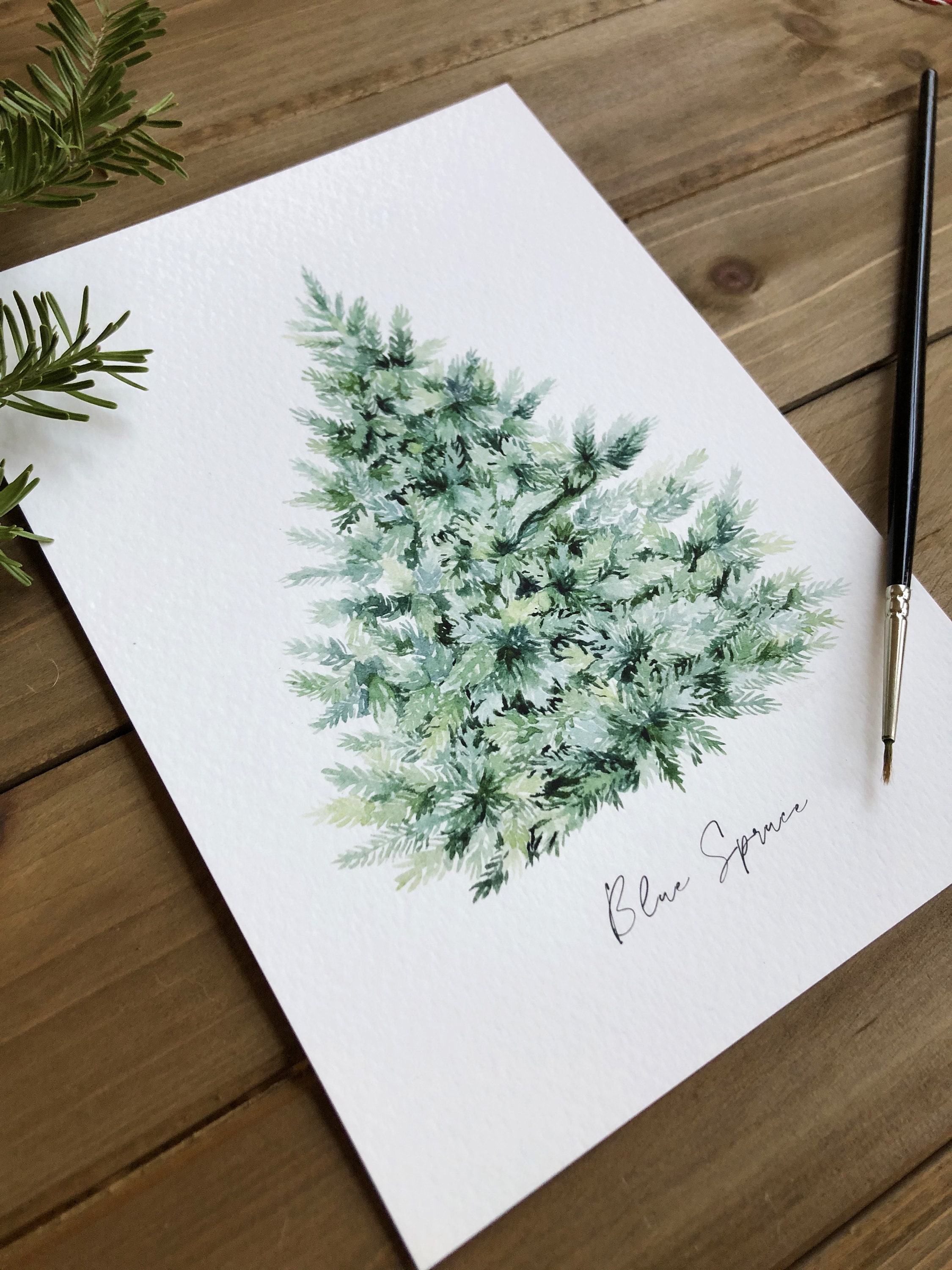 Blue Spruce Winter Trees Watercolor Print Farmhouse Winter - Etsy