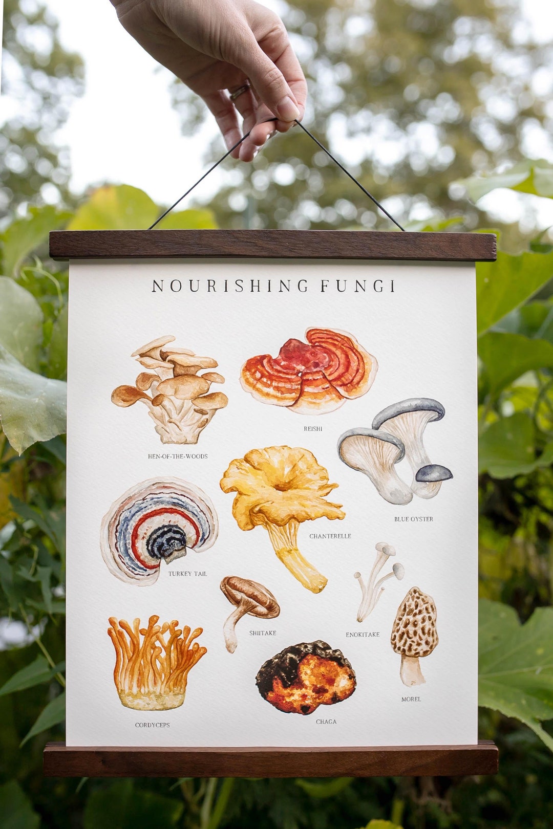 Nourishing Fungi Watercolor Print | Functional Mushroom Educational ...