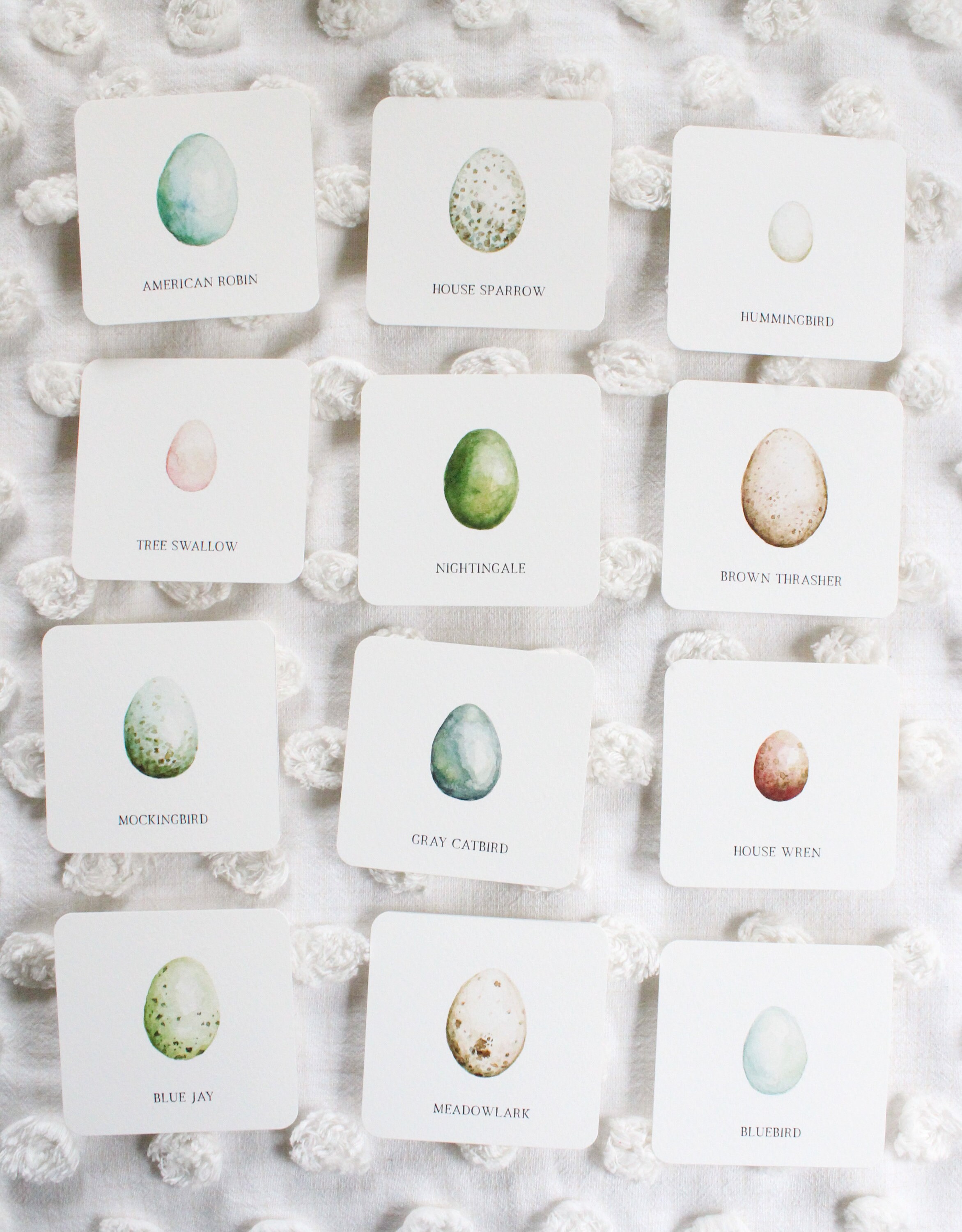 Printable Bird Egg Matching Cards Homeschool Printable - Etsy Australia