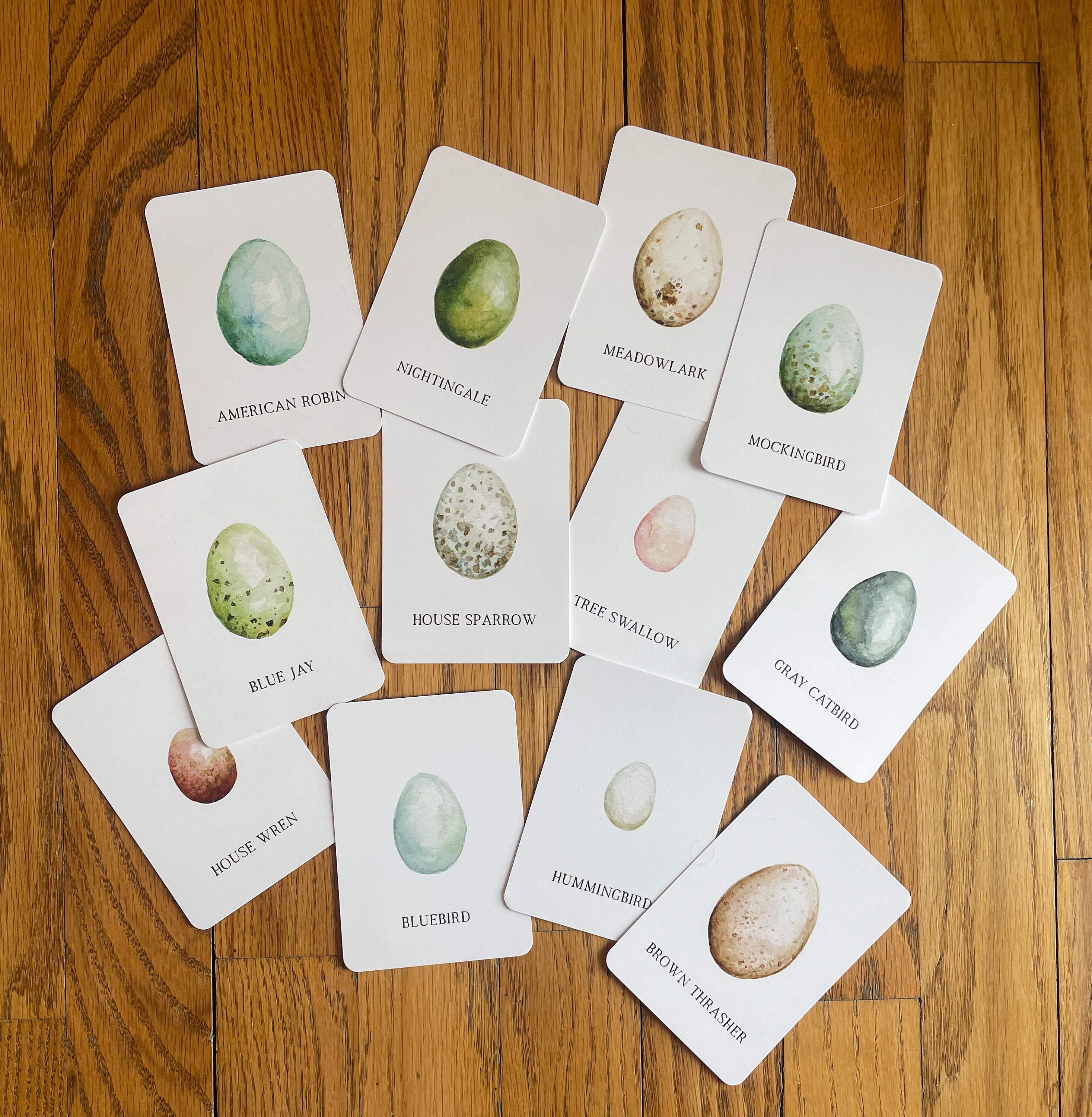 Bird Egg Matching Cards Nature Learning Cards Homeschool - Etsy
