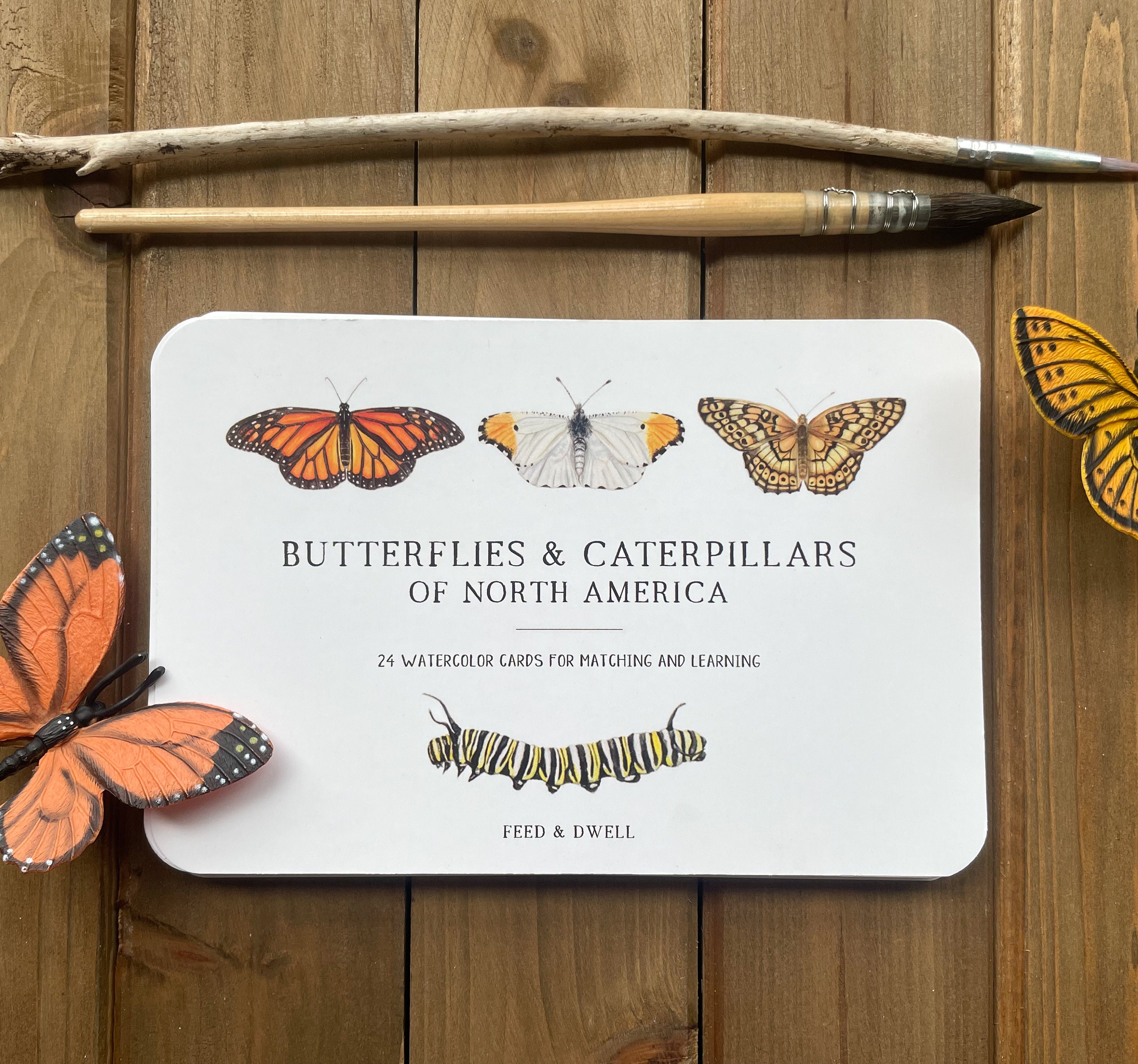 Butterfly and Caterpillar Learning Cards Montessori Insect - Etsy