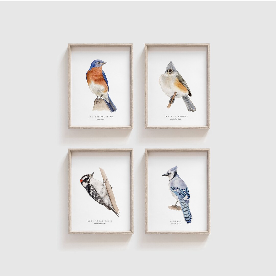 Set of 4 Backyard Birds of North America Watercolor Art Prints | Bird ...