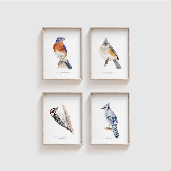 Bird Painting Set - Etsy