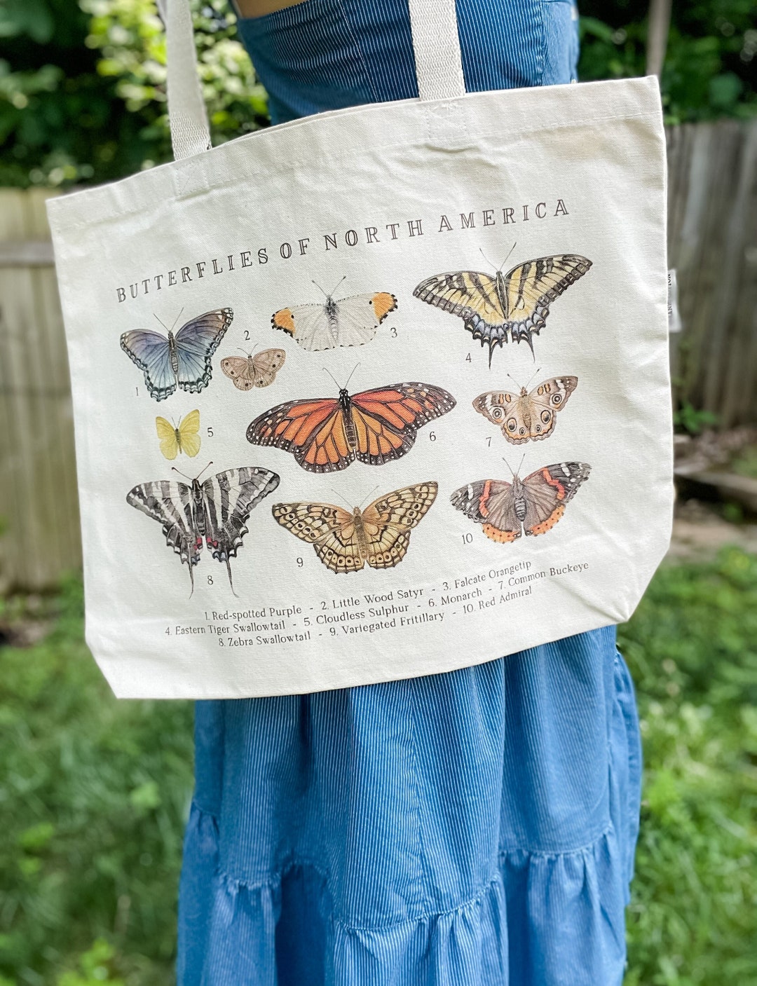 Butterflies of North America Large Organic Cotton Tote Bag Nature Lover ...