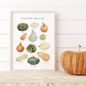 Winter Squashes Watercolor Print | Pumpkin Watercolor Art | Garden ...