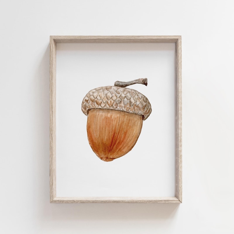 Acorn Watercolor - Etsy
