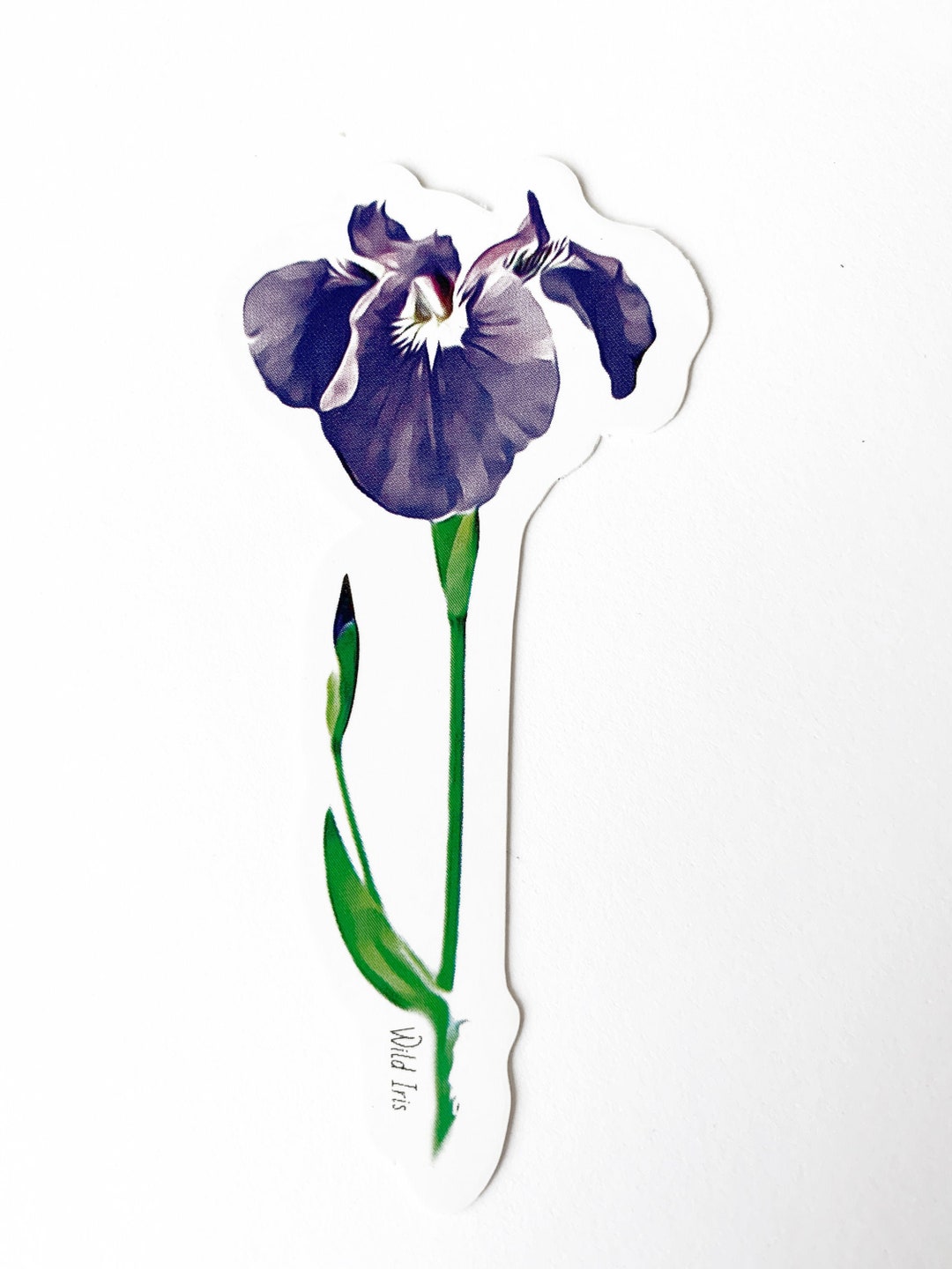 Alaskan Wild Iris Vinyl Sticker - Etsy