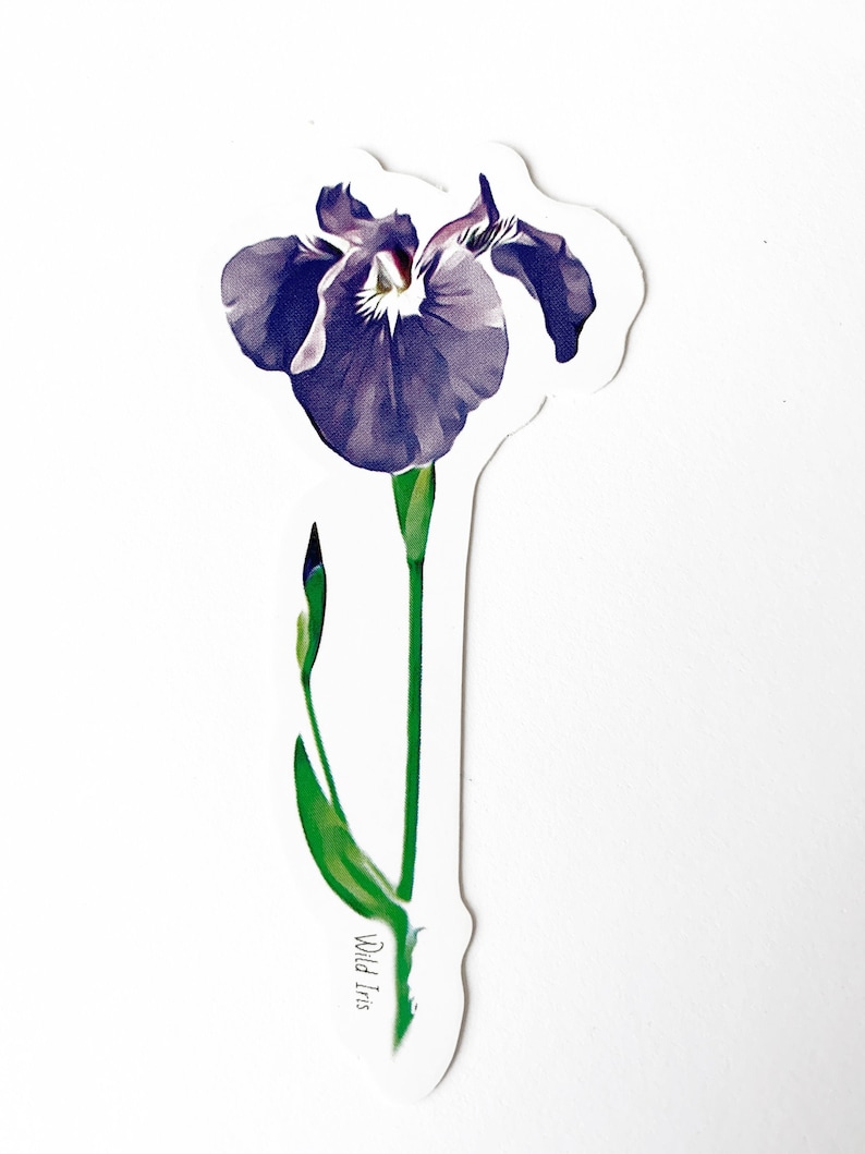 Alaskan Wild Iris Vinyl Sticker - Etsy