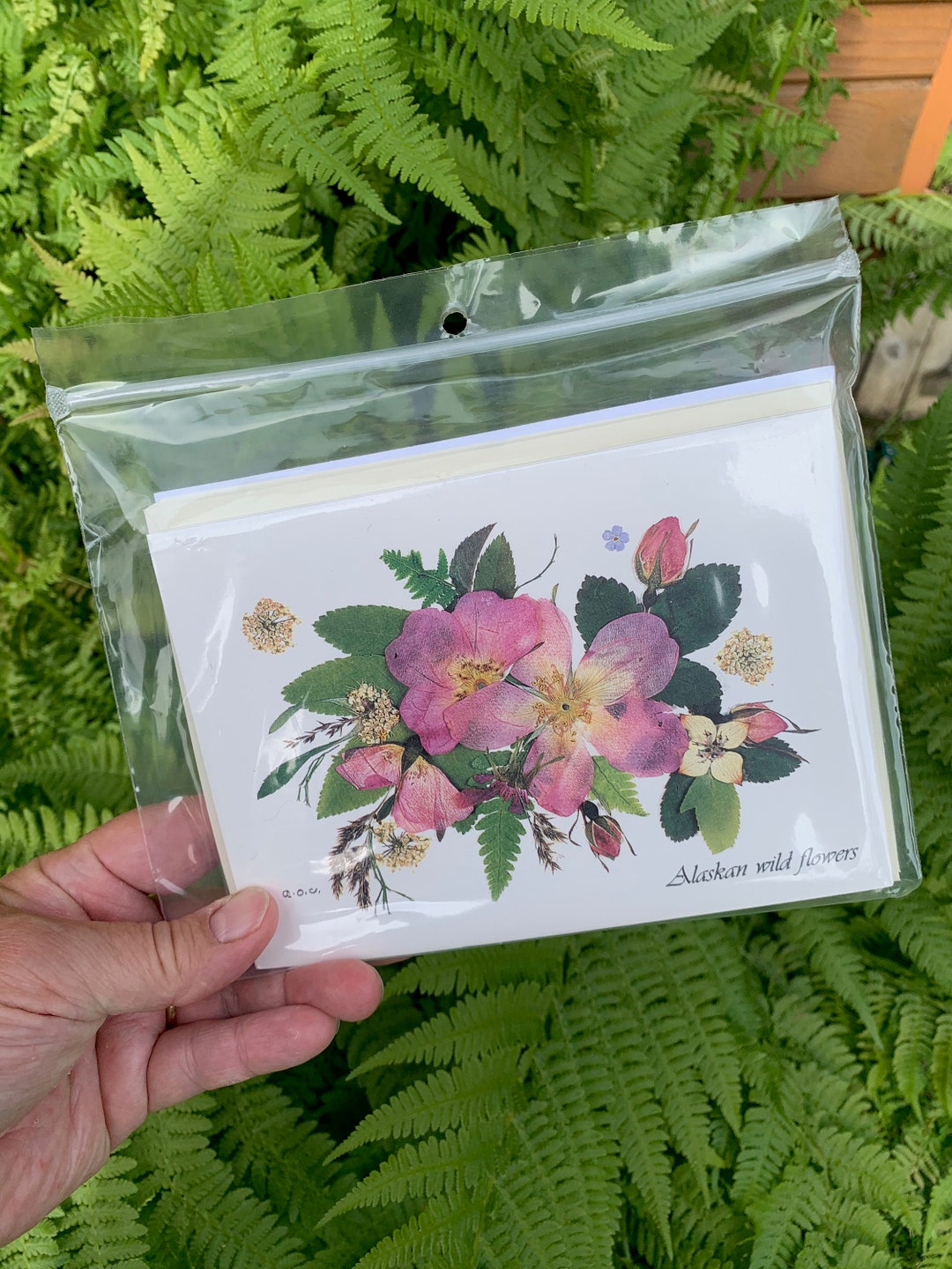 Alaskan Wildflower Notecards - Etsy