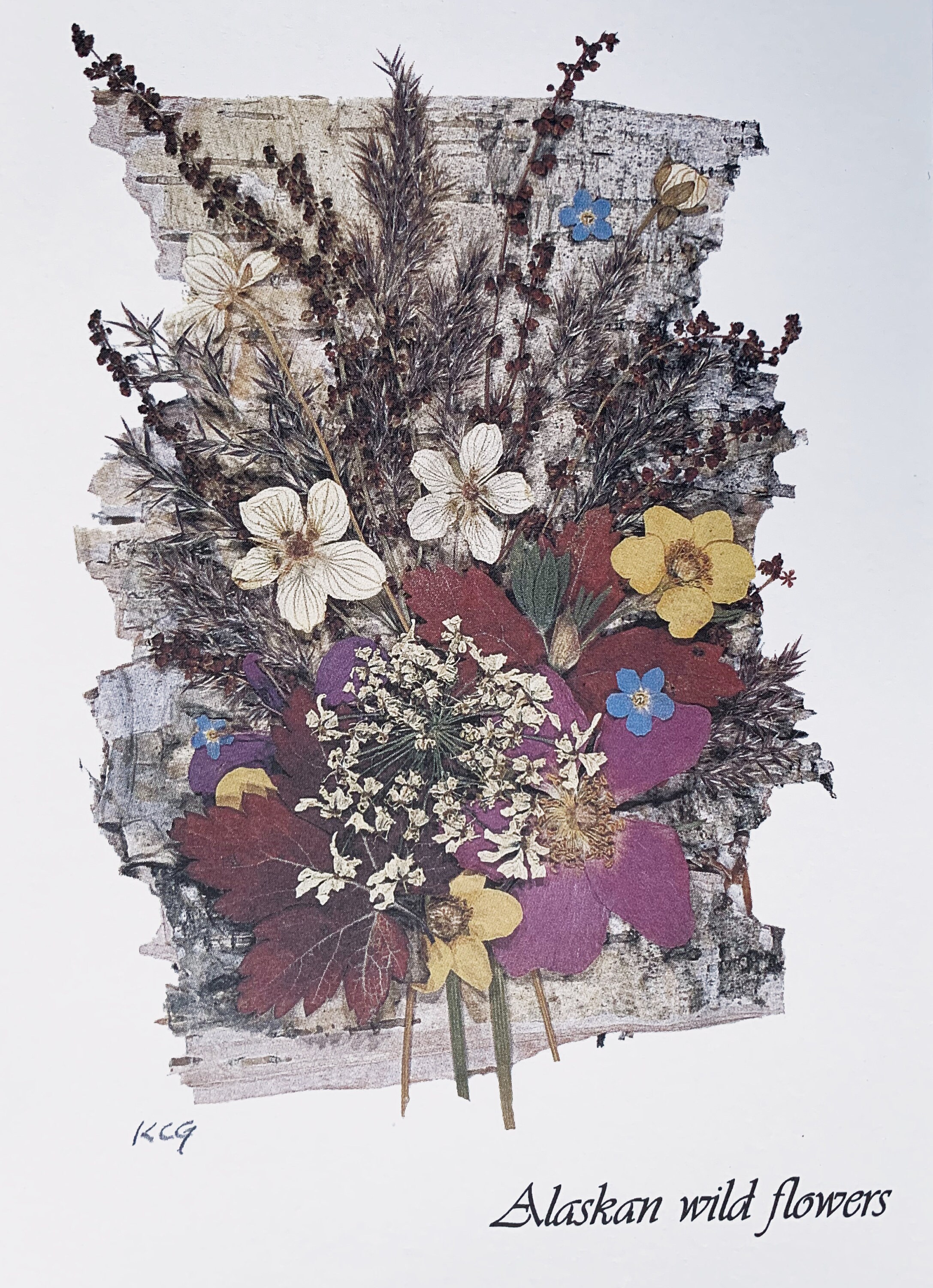 Alaskan Wildflower Notecards - Etsy