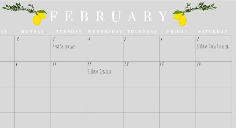 Lemon Themed Printable Monthly Planner and Calendar Insert Pages - Etsy