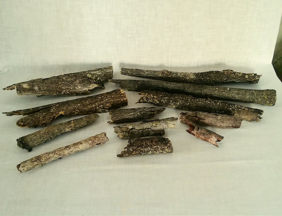 Real Curled Tree Bark 12 Pieces, Natural Tree Bark for Crafts, Art ...