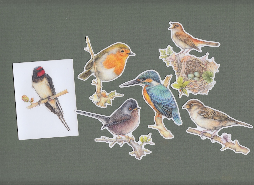 Vinyl Stickers, Pack of 6 Birds. Kingfisher, Robin, Swallow, Long ...
