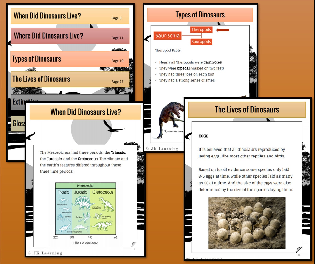 Dinosaur Field Guide: Dinosaur Learning and Trivia Activity - Etsy