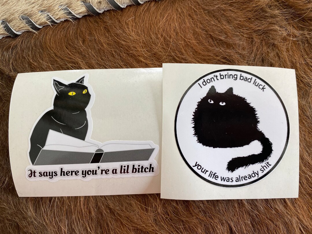 Cat Stickers/cute Cats/funny/fluff You/offensive Stickers/gifts/sticker ...