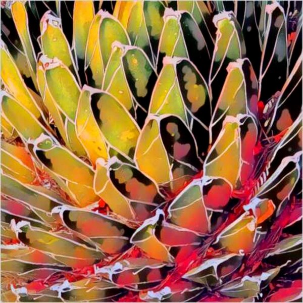 Metal Agave - Etsy