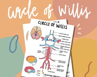 Circle of Willis Anatomy Worksheet Single FILLABLE Digital Download ...