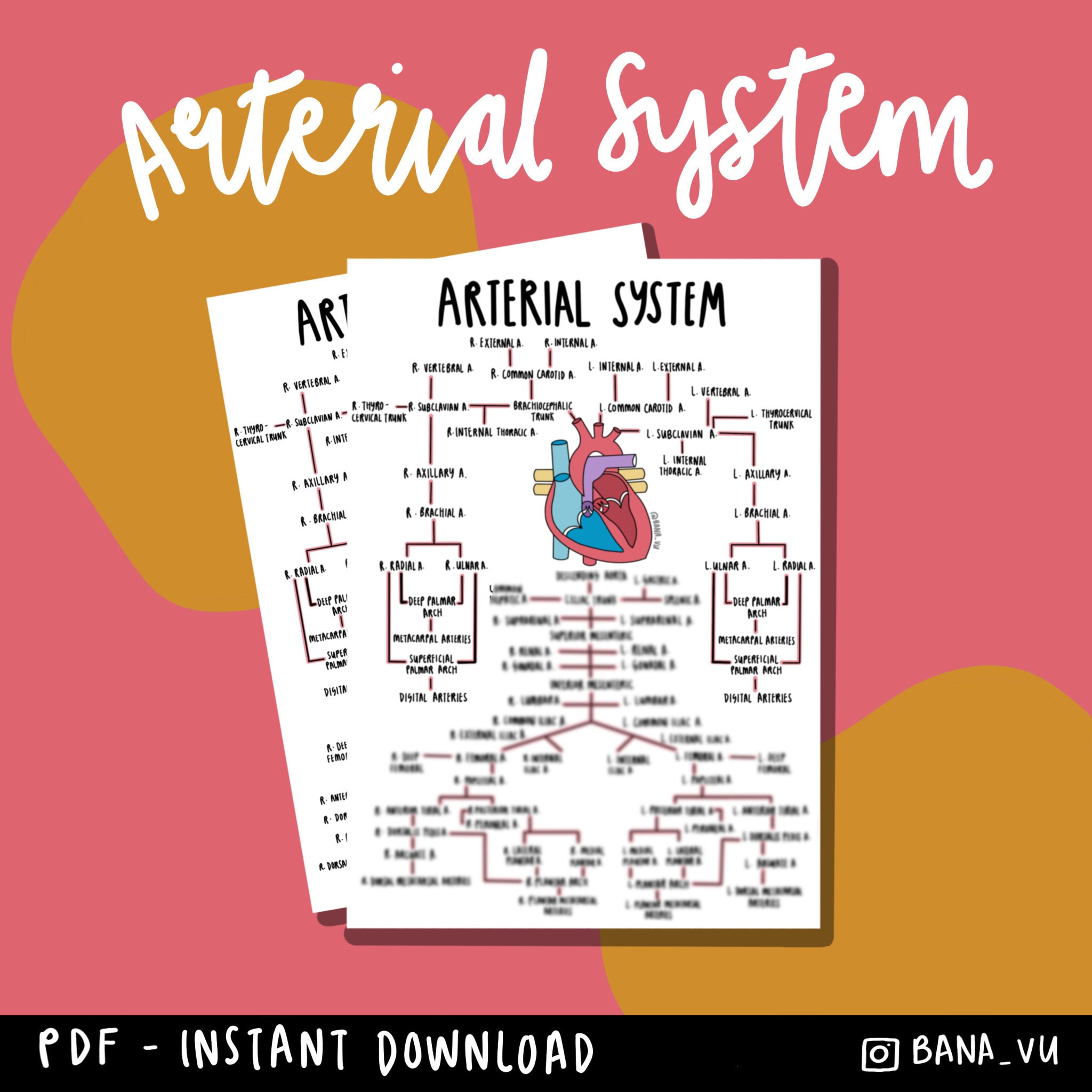 Major Arteries of the Body Poster (PDF) - Etsy