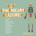 Basic Anatomy Flashcards (PDF) - Etsy