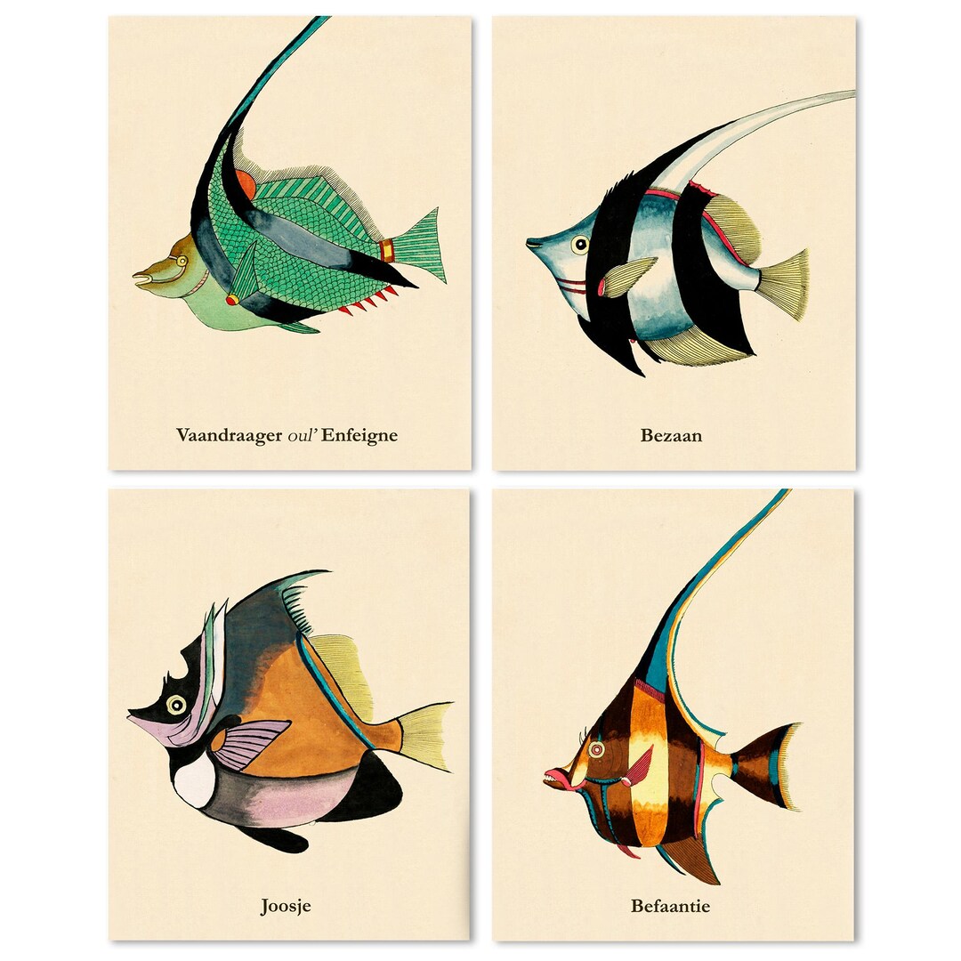 Louis Renard Replica Fish Marine Life Illustration Prints, Select Any 4 ...