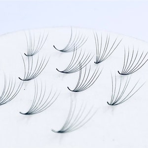 500 Premade Volume Lash Fans - 3D, 4D, 5D, 6D, 7D, 8D, 9D, 10D, 12D ...