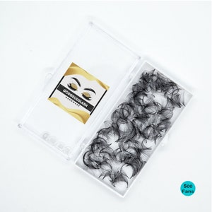 500 Premade Volume Lash Fans - 3D, 4D, 5D, 6D, 7D, 8D, 9D, 10D, 12D ...