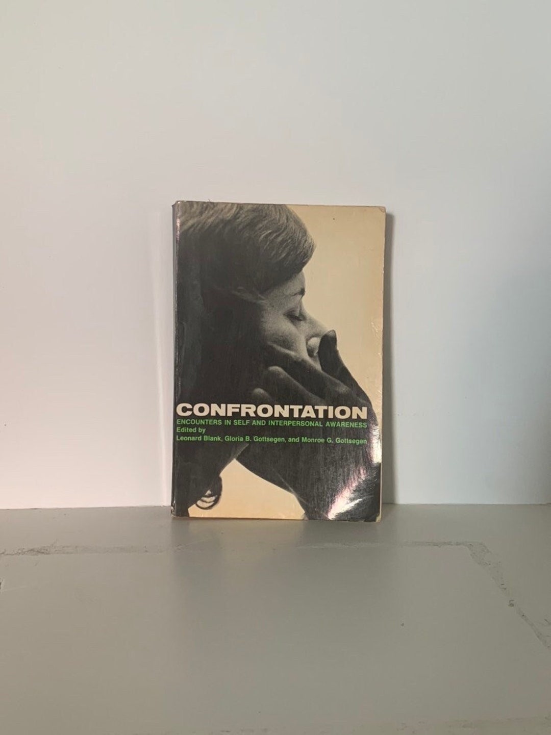 Confrontation Encounters in Self and Interpersonal Awareness Thrifted ...