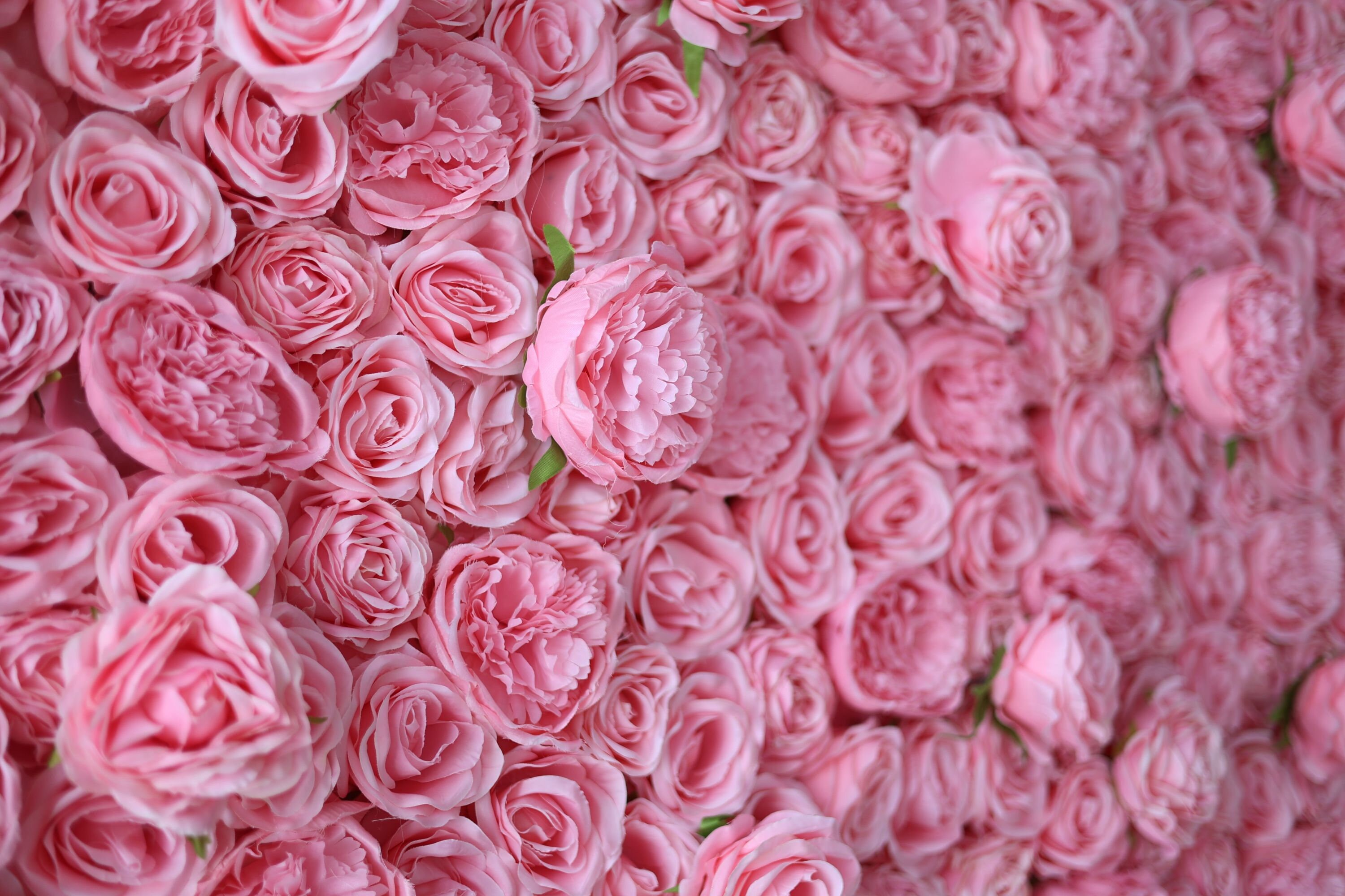 Candy Pink Flower Wall Photo Backdrop,floral Panels for Wedding ...