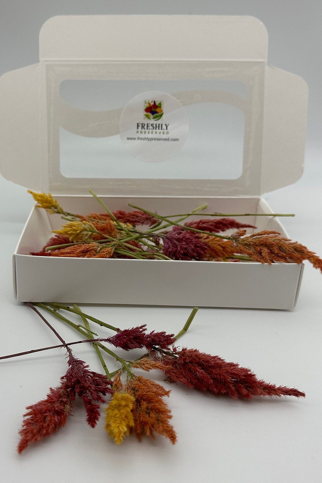 Freeze Dried Edible Firestix - Etsy