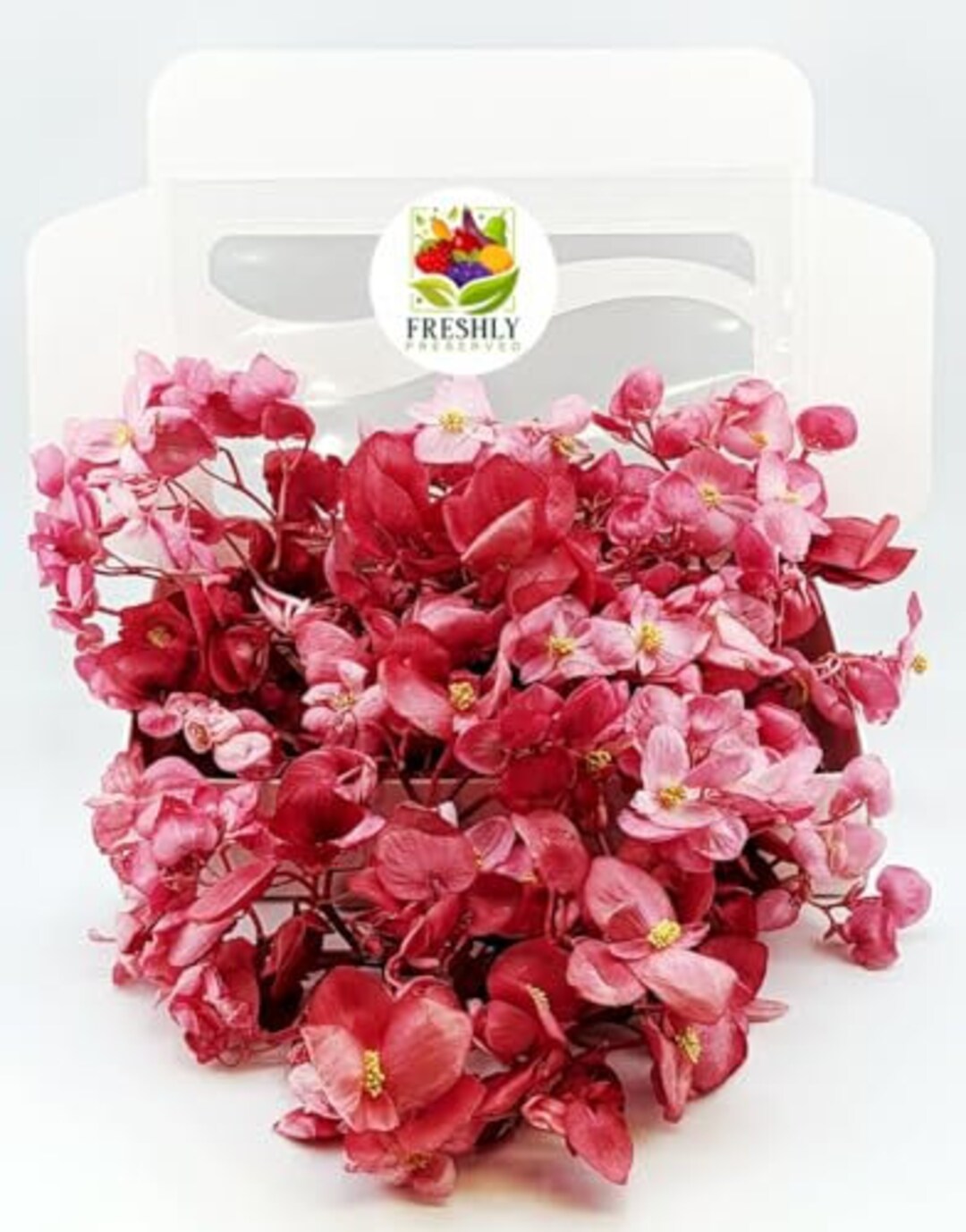Freeze-dried Edible Begonias - Etsy