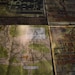 Complete Map Set From the Last of Us Includes 10 Maps - Etsy