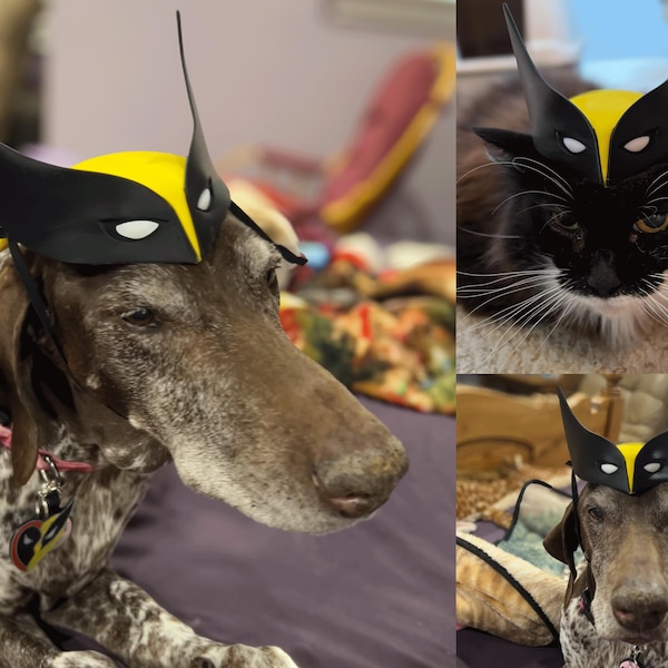 Wolverine Cat Costume - Etsy