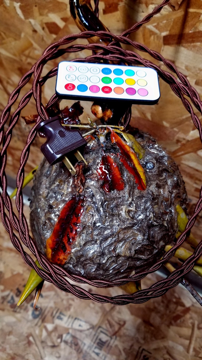 First Ever Real Wasp Nest Lamp. Collectors Quality Hornet - Etsy