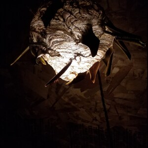 First Ever Real Wasp Nest Lamp. Collectors Quality Hornet Paper Nest ...
