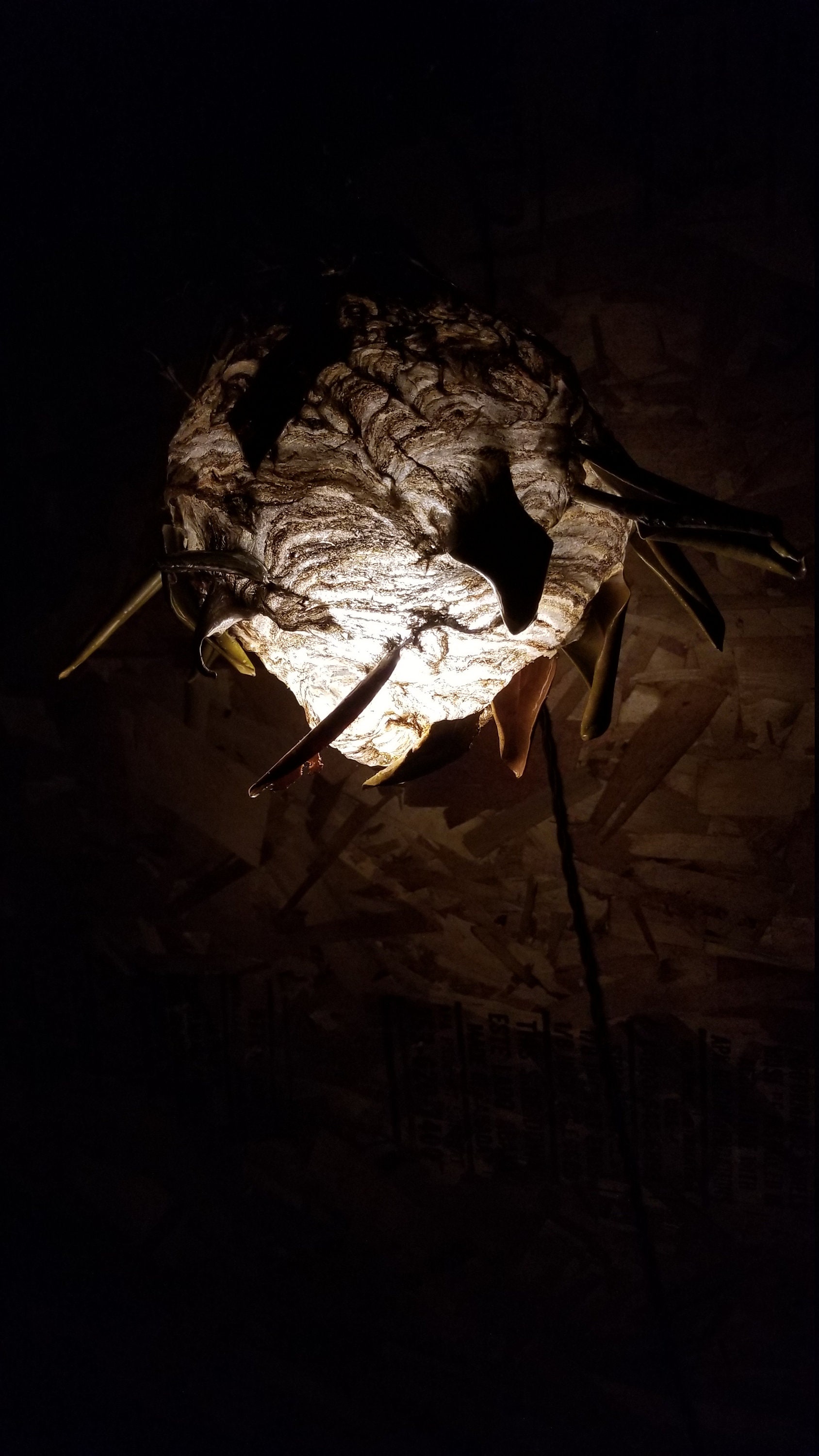 First Ever Real Wasp Nest Lamp. Collectors Quality Hornet - Etsy